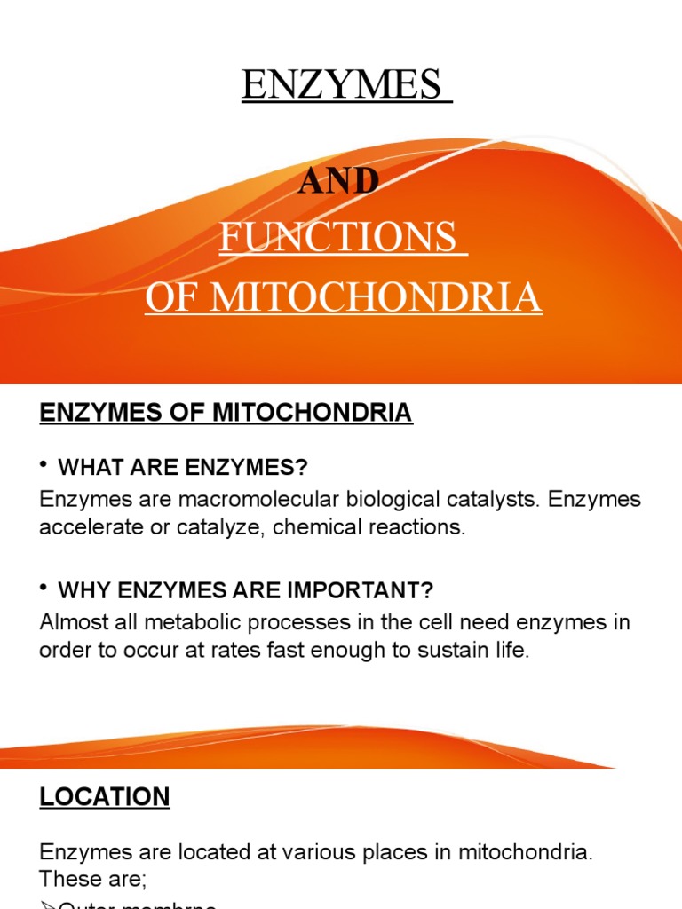 Mitochondrial Enzymes and Their Functions | PDF | Mitochondrion ...