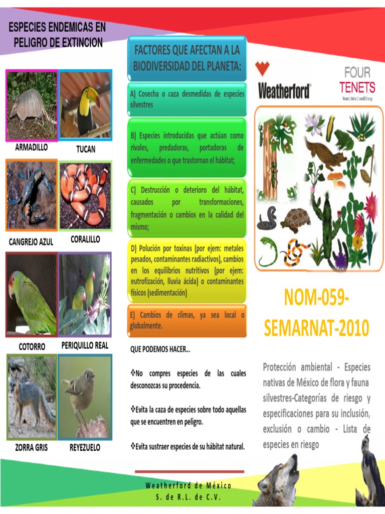 Triptico Nom 059 ACTUAL | PDF | Especie en peligro | Fauna silvestre