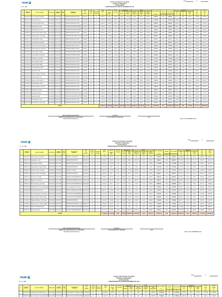 CNS 11 2022 Lp-Eal | Descargar gratis PDF | Salario | Empleo