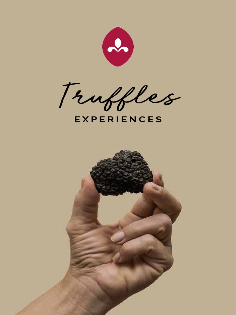 Truffle Experience Tourist Hunting | PDF | Food And Drink
