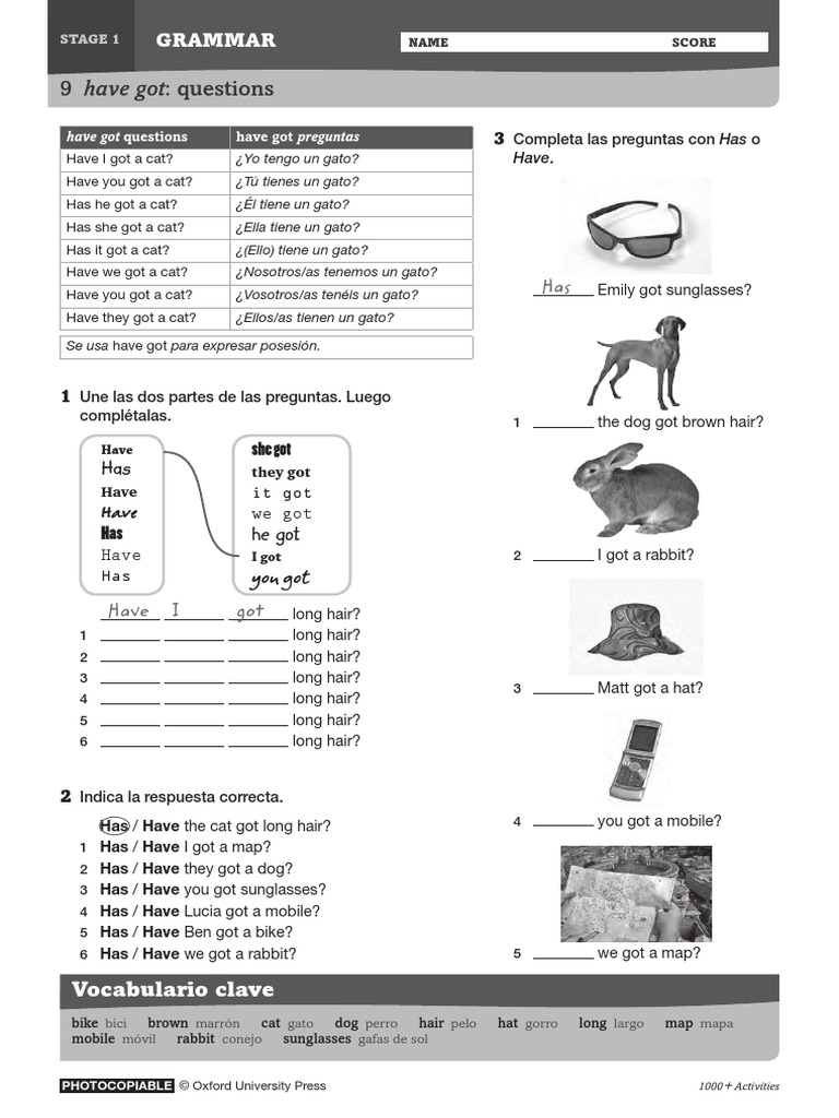 72 9 Have Got - Questions | PDF