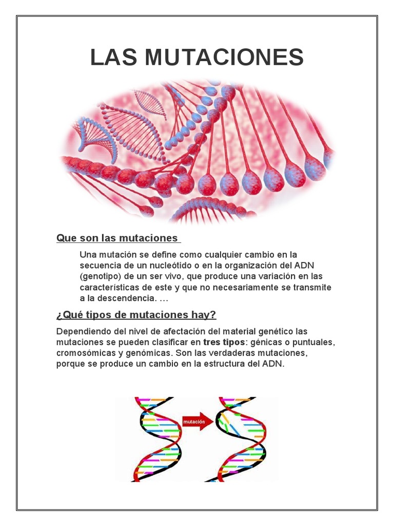 Las Mutaciones | PDF