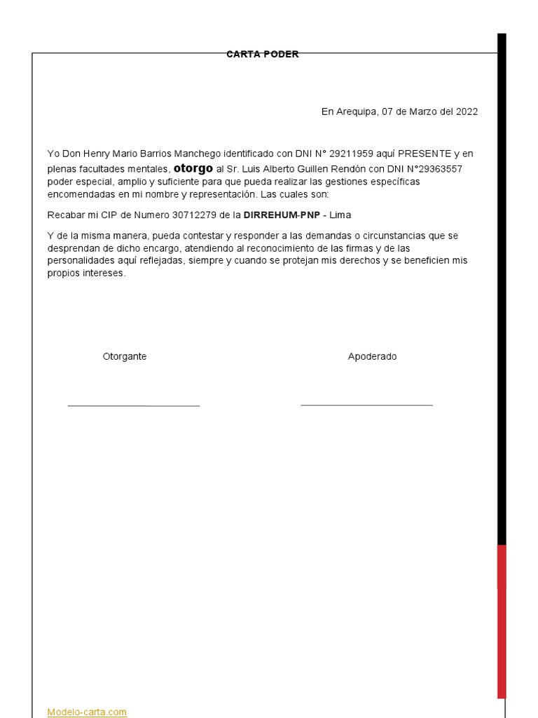 Carta Poder Simple | PDF