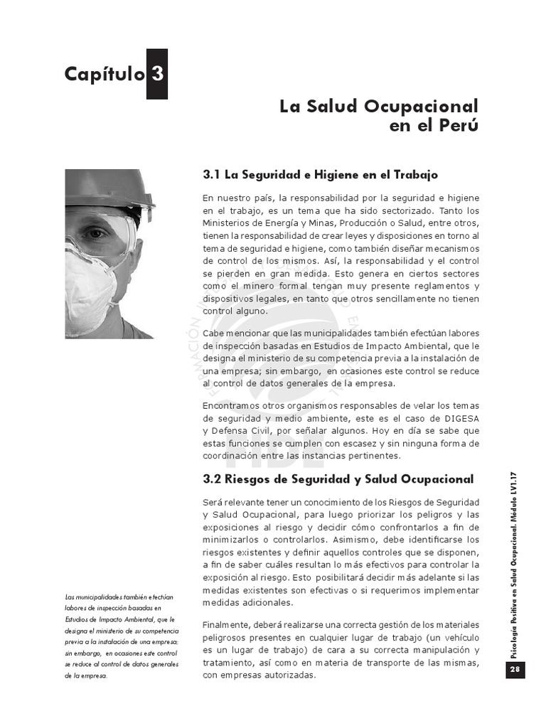 PPSO I. Capitulo 3. La Salud Ocup. en El Peru | PDF | Seguridad y salud ...
