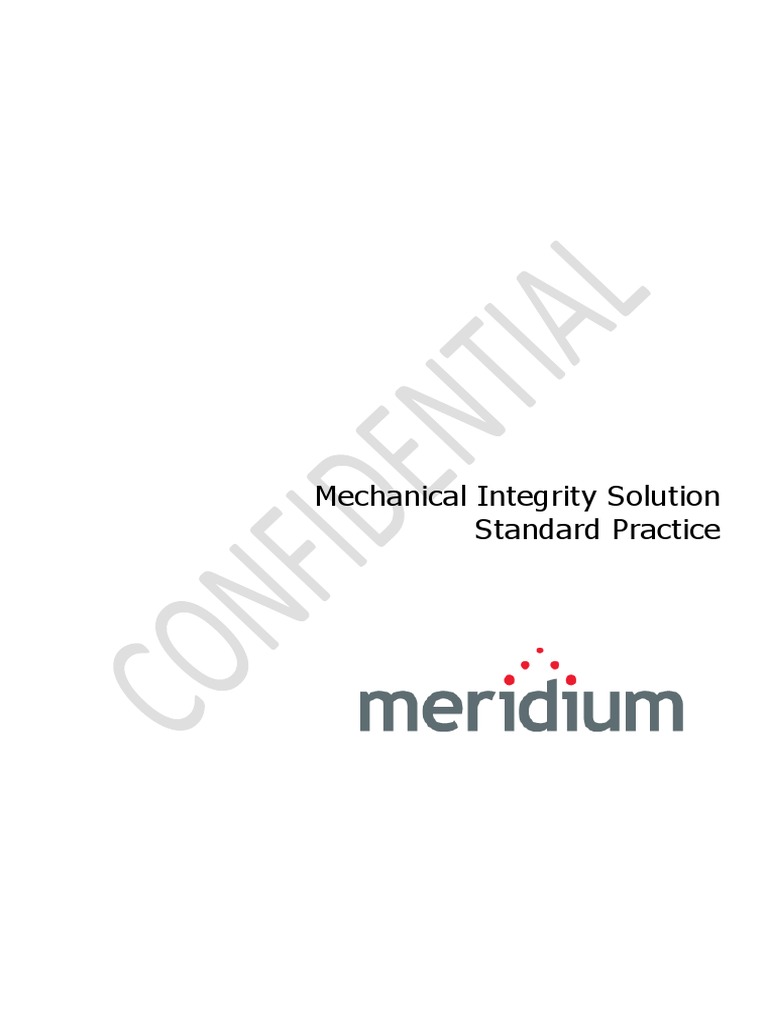 Meridium Mechanical Integrity Standard Practice 2013 Rev 4 | PDF | Risk ...