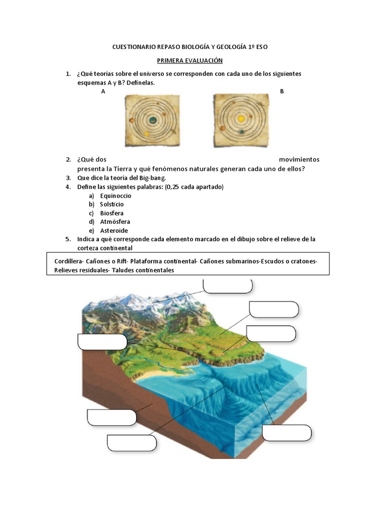 Cuestionario Repaso Biología y Geología 1º Eso 1 | PDF | Plantas | Algas