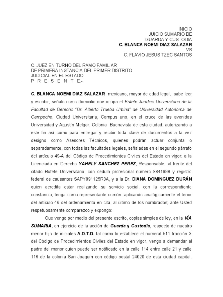 Ejemplo de Demanda Inicial de Guarda y Custodia | PDF | Demanda ...