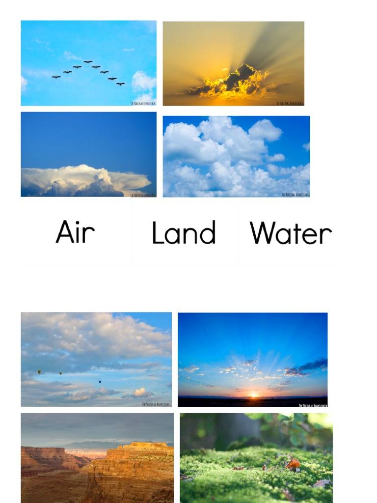 Land Water Air Activity 2 | PDF