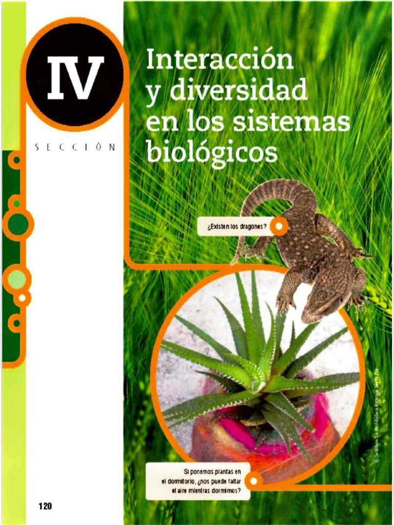 CsNat - Cap9.s en Línea - Los Seres Vivos | PDF | Biología Celular ...