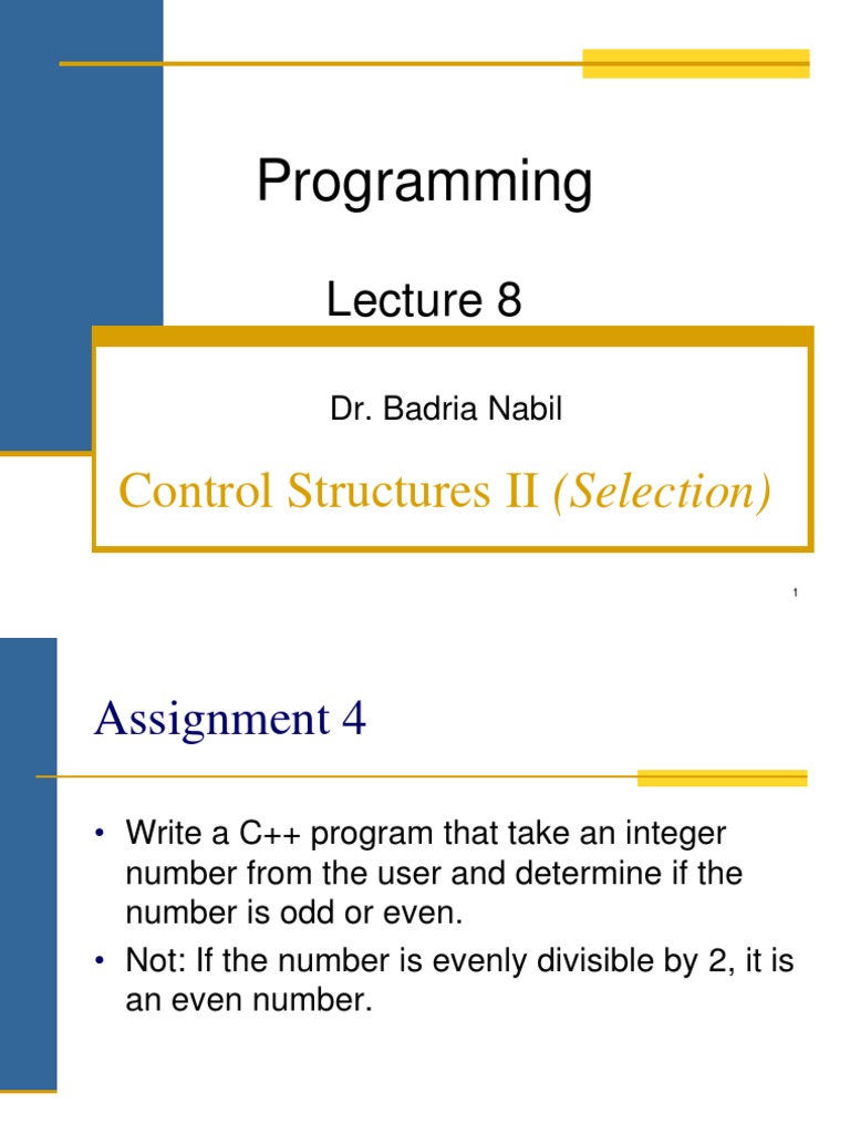 Programming Lecture 8 Pdf Truth Logic