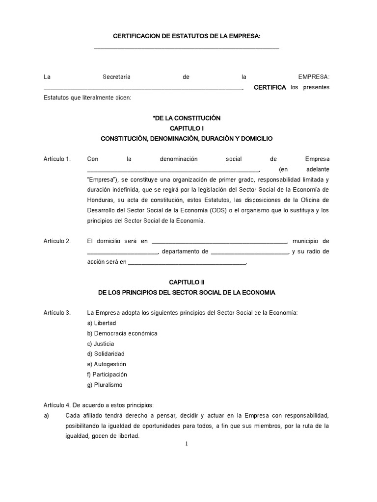 Formatos-Estatutos-de-Empresa | PDF | Business | Presupuesto