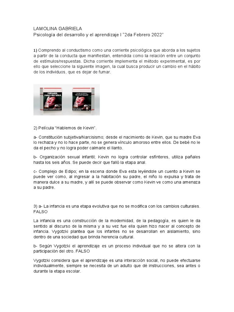 Trabajo Final - Psicologia Del Desarrollo y El Aprendizaje I | PDF