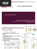 Músculo Primer Radial Externo | PDF | Ciencia y matemática