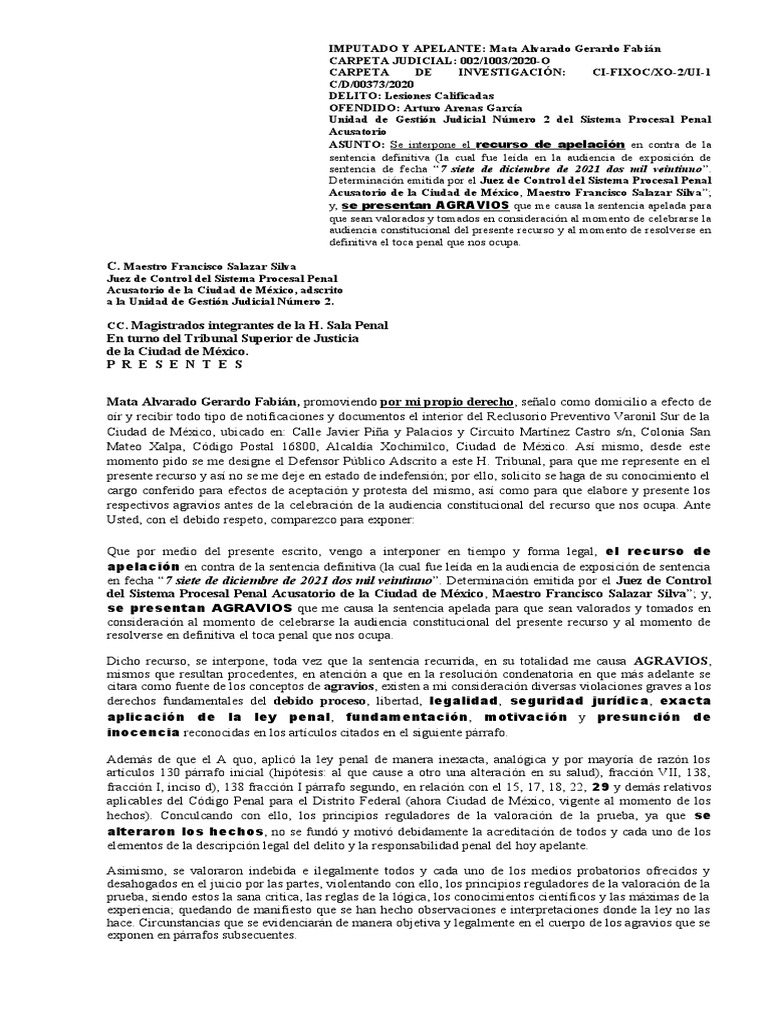 Apelación y Agravios-Mata-Final | PDF | Derecho penal | Sentencia (ley)