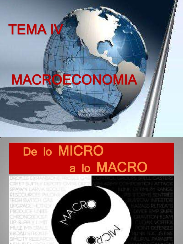 Micro y Macro | PDF