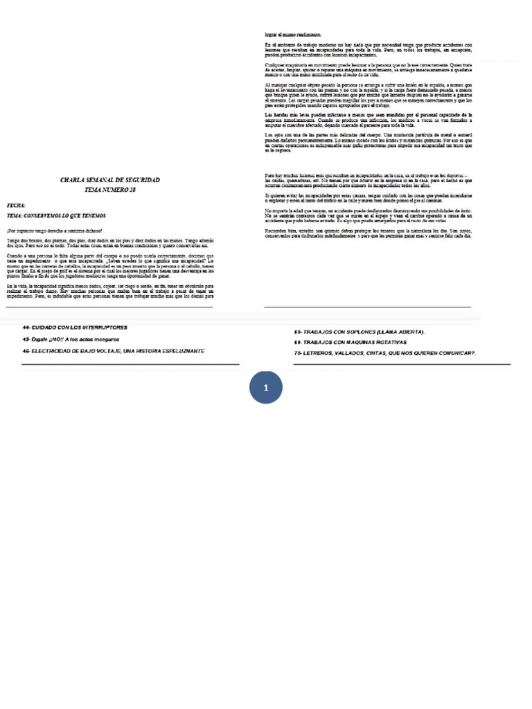 80 Charlas de Seguridad | PDF