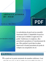 Radiographie de la cheville et du pied | PDF | Pied | Système squelettique