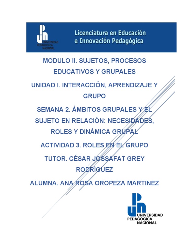 AROM Roles | PDF | Comportamiento