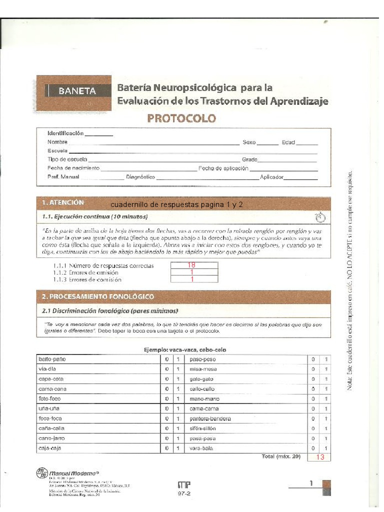 Baneta-Protocolo EJEMPLO CALIFICACIÓN | PDF