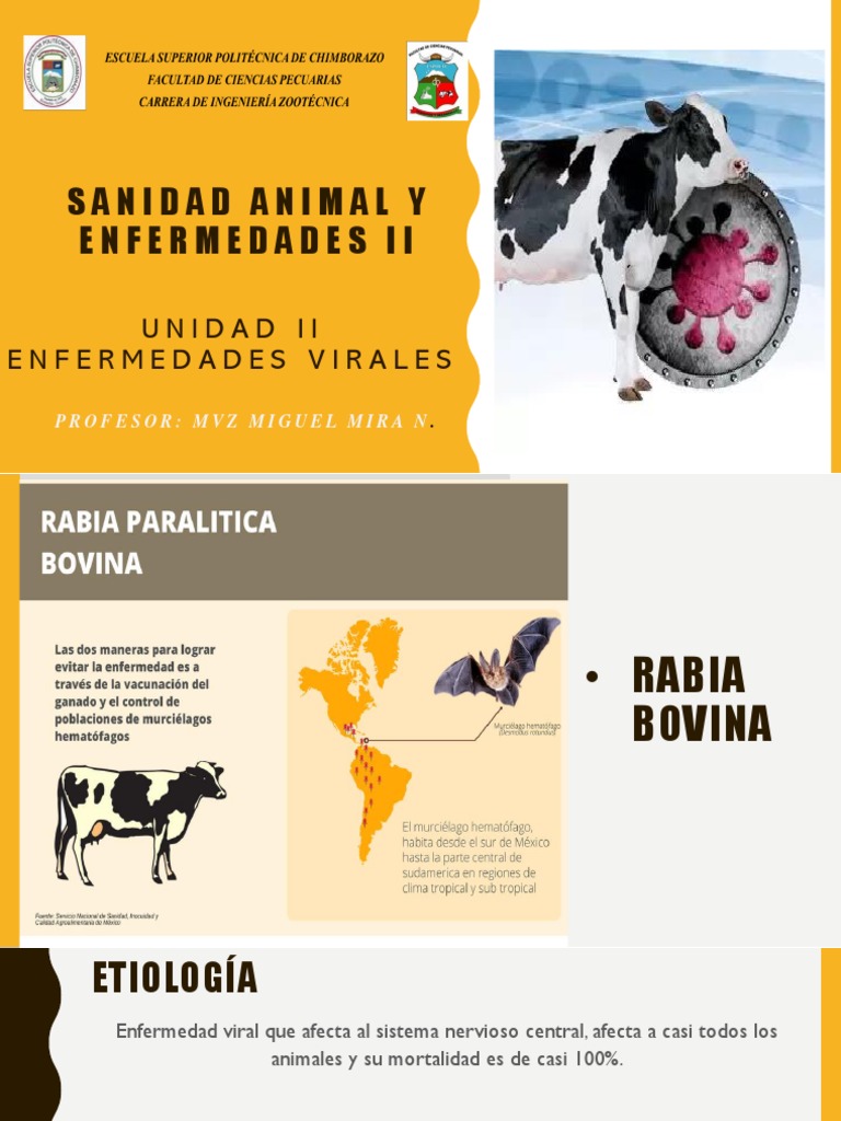 Clase 1 - Rabia Bovina | PDF | Rabia | Virus
