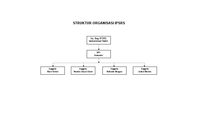 Struktur Organisasi Ipsrs | PDF