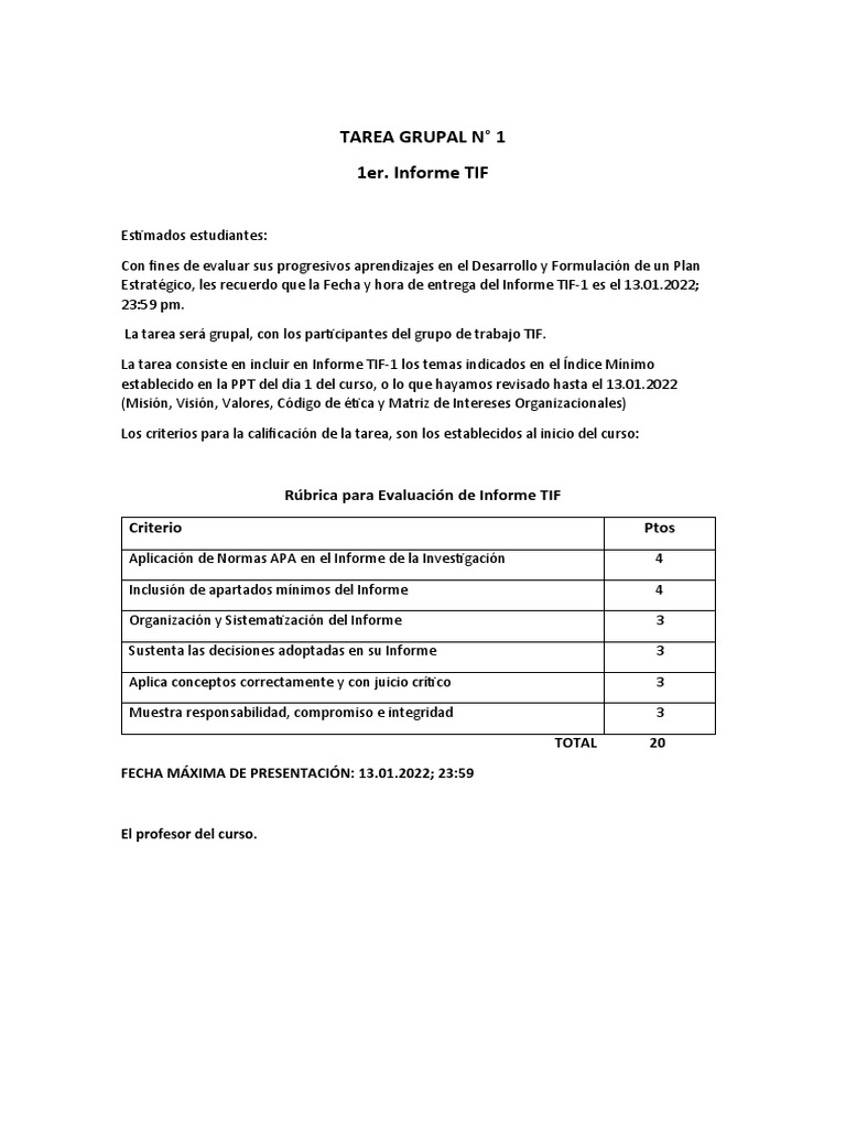 TAREA GRUPAL 1 1er. Informe TIF | PDF | Negocios | Arte