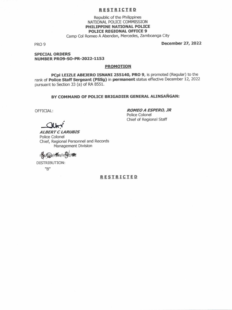 Promotion Orders PSSG | PDF