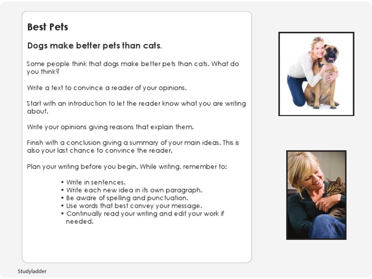 Persuasive Writing: Dogs vs. Cats | PDF