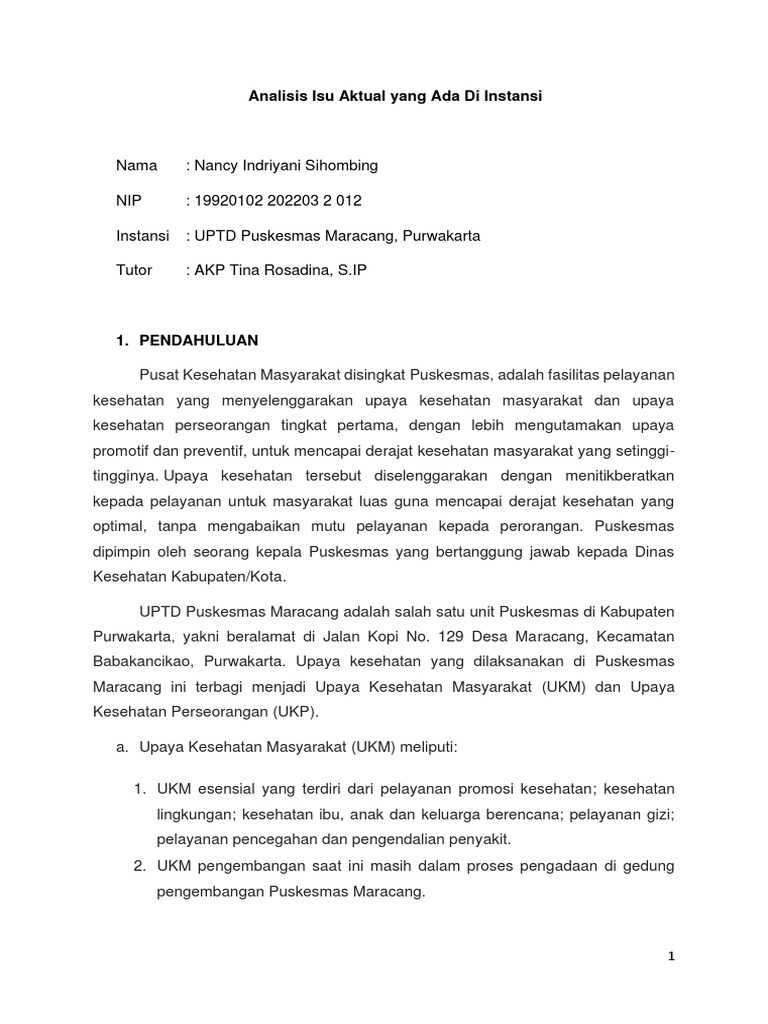 Analisis Isu Aktual Yang Ada Di Instansi - Nancy I. Sihombing | PDF