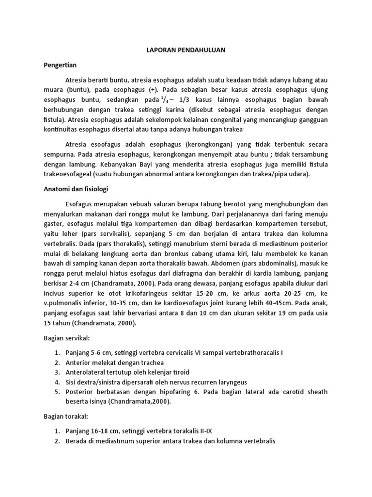 Laporan Pendahuluan | PDF