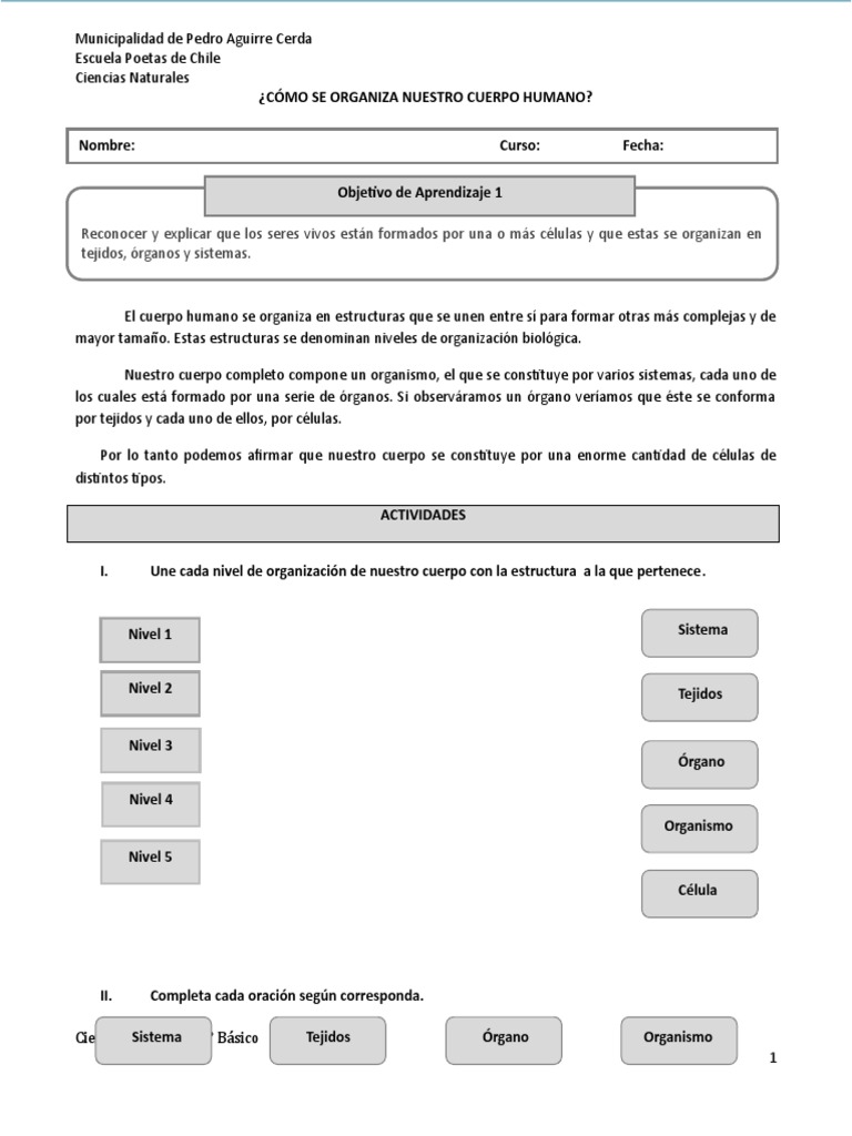 Oa 1 Quinto Ciencias Unidad 2 | PDF | Organismos | Tejido (biología)
