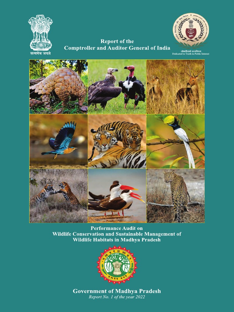 Kuno CAG REPORT | PDF | Environmental Conservation | Natural Environment