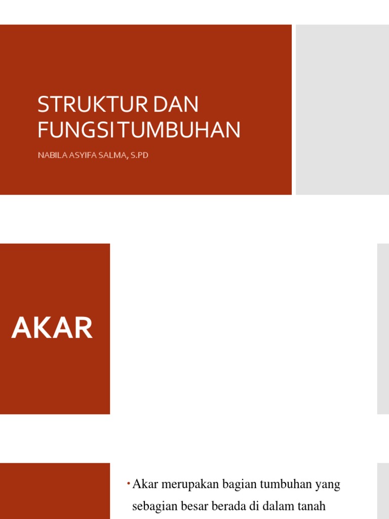 Struktur Dan Fungsi Tumbuhan Pdf 