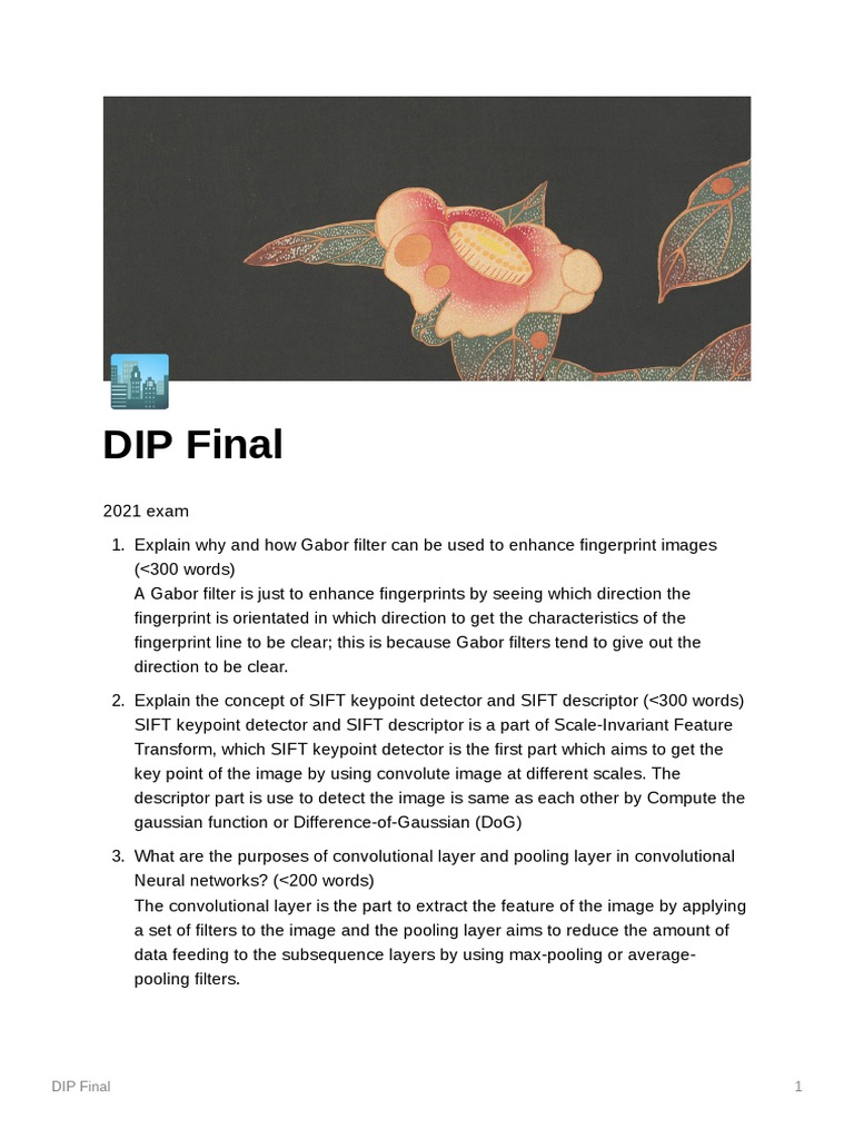 DIP Final | PDF | Deep Learning | Cognitive Science