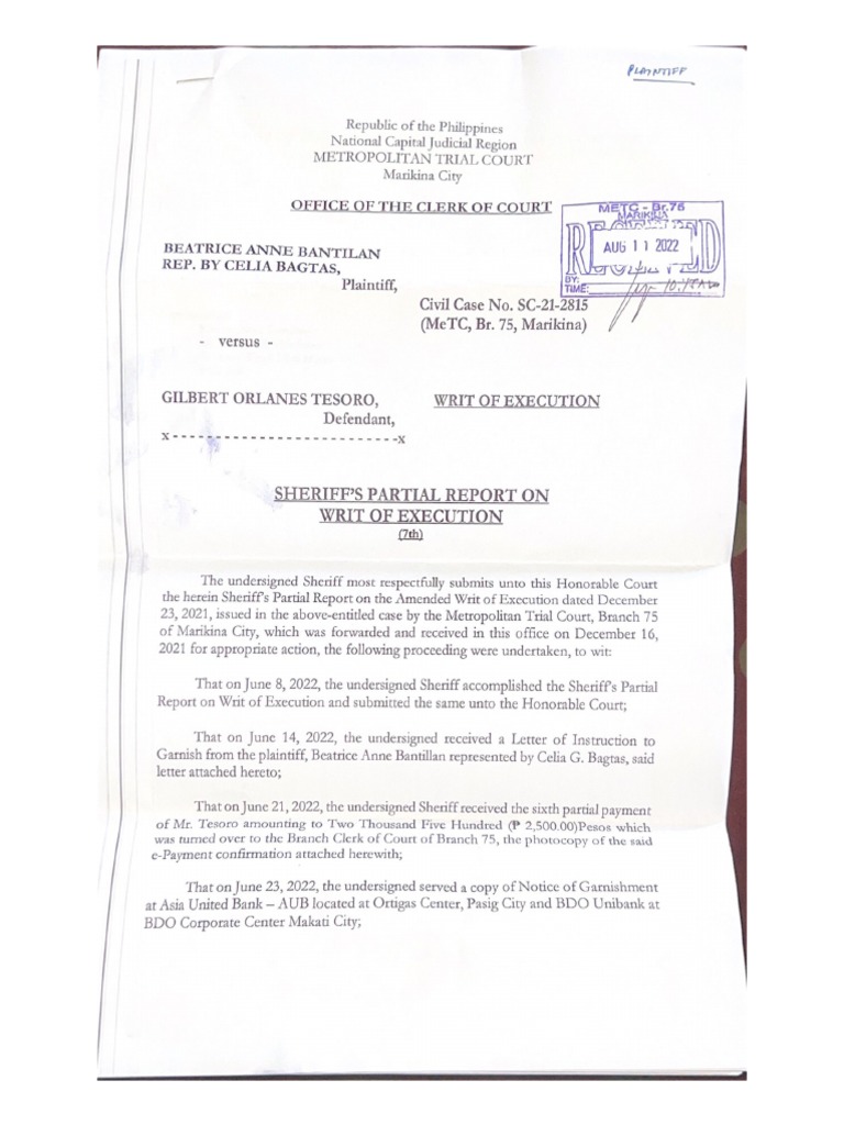 Sheriffs Report | PDF