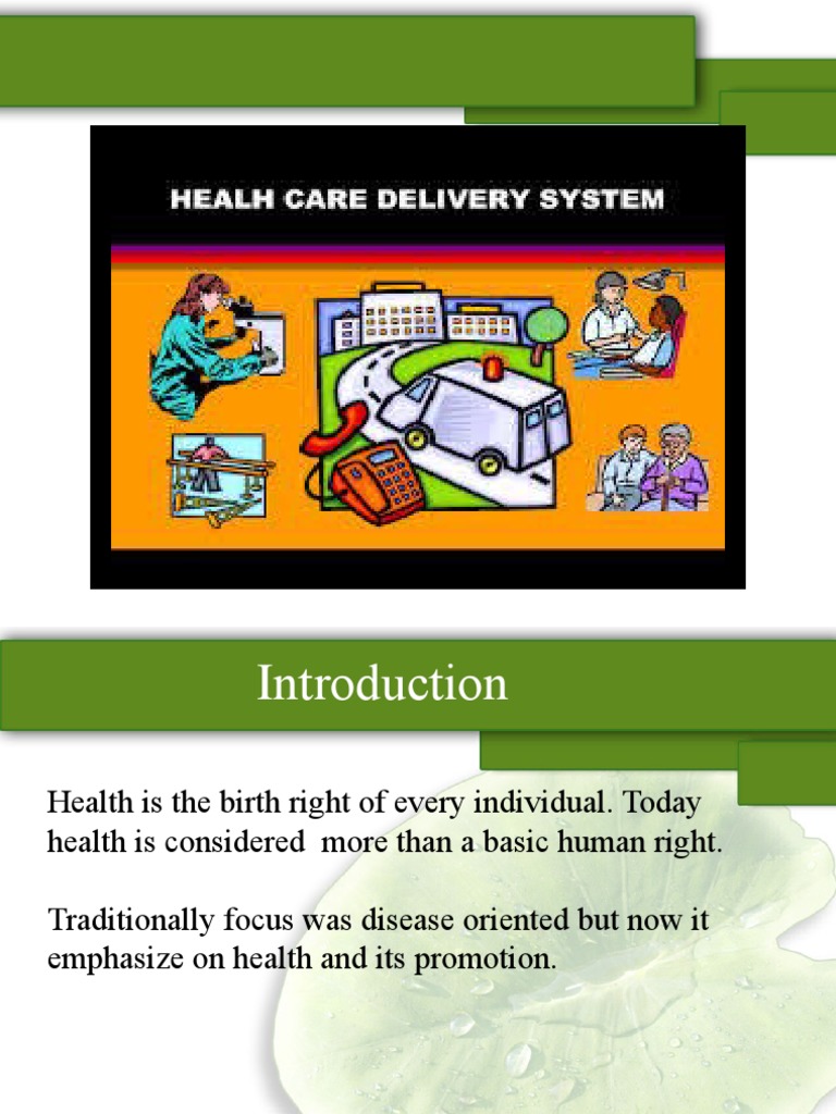 Health Care Delivery System | PDF | Health Care | Public–Private ...