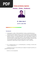 SPANISH Quick DASH | PDF