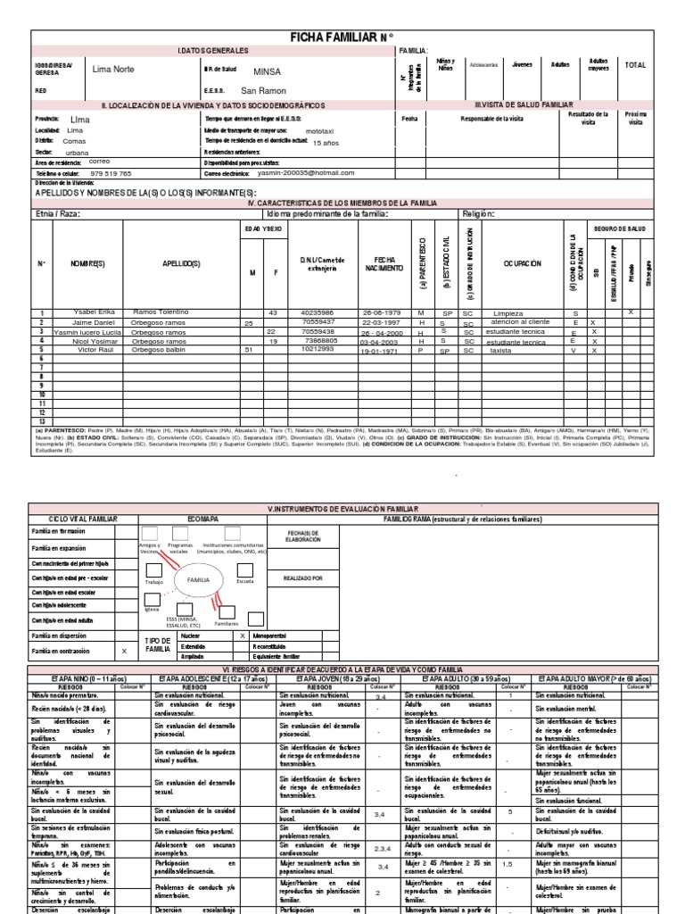 Formato Ficha Familiar | PDF | Adultos