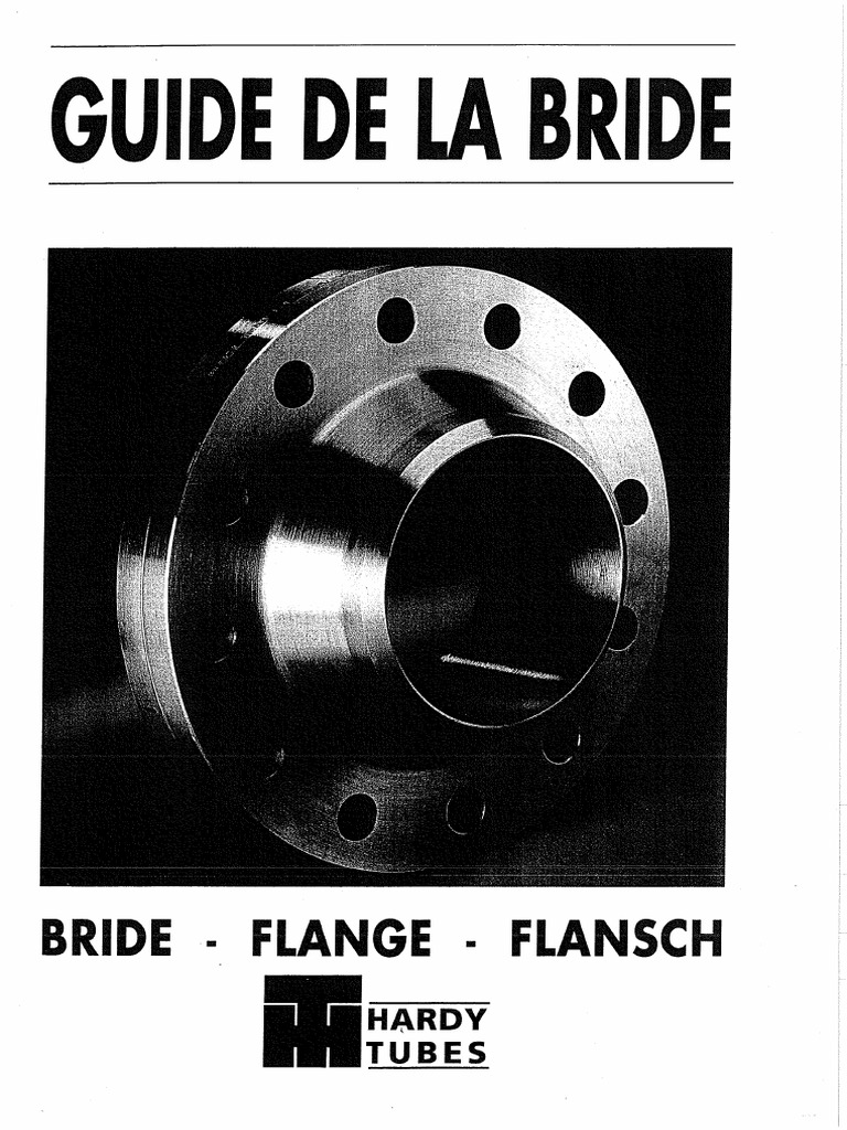 Guide de La Bride | PDF