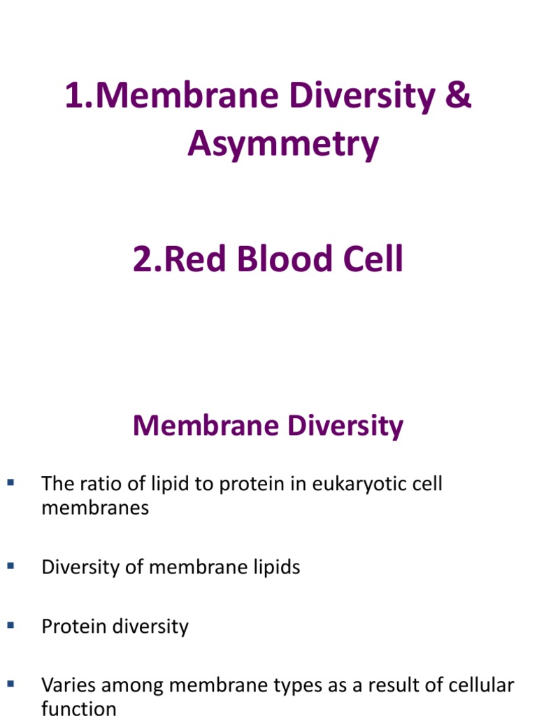 RBC Membrane | PDF | Cell Membrane | Red Blood Cell