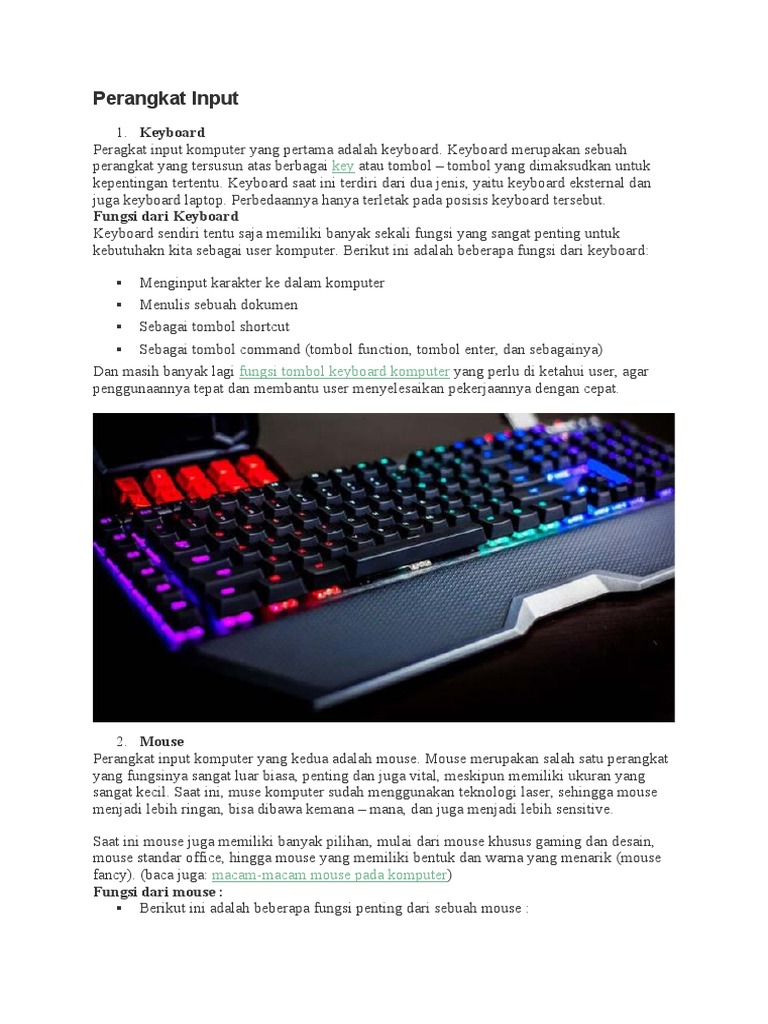 Perangkat Input dan Output Komputer | PDF | Komputer