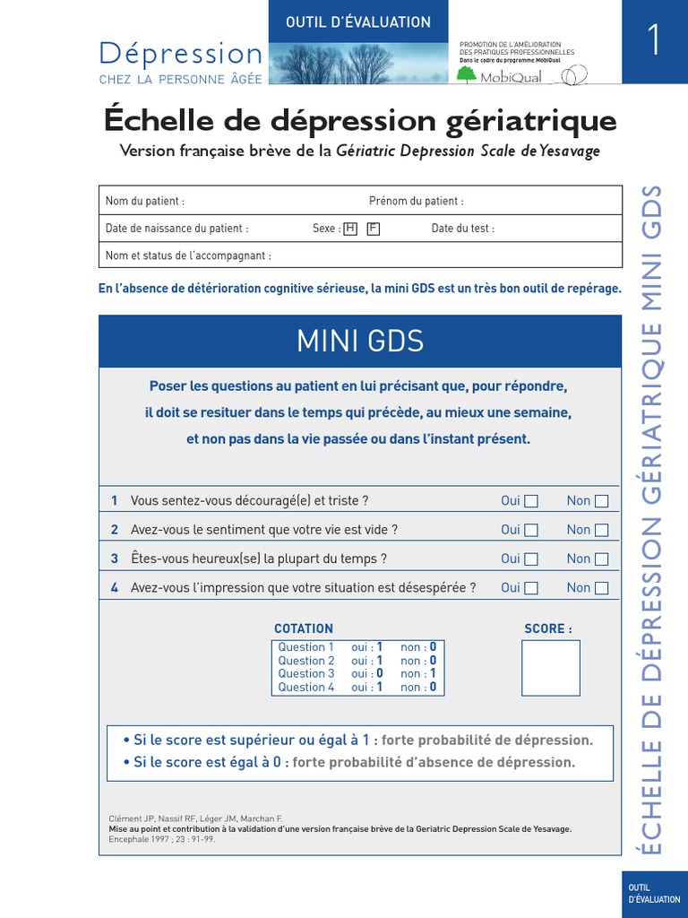 Psy Mini Gds | PDF | Dépression (psychiatrie) | Psychologie