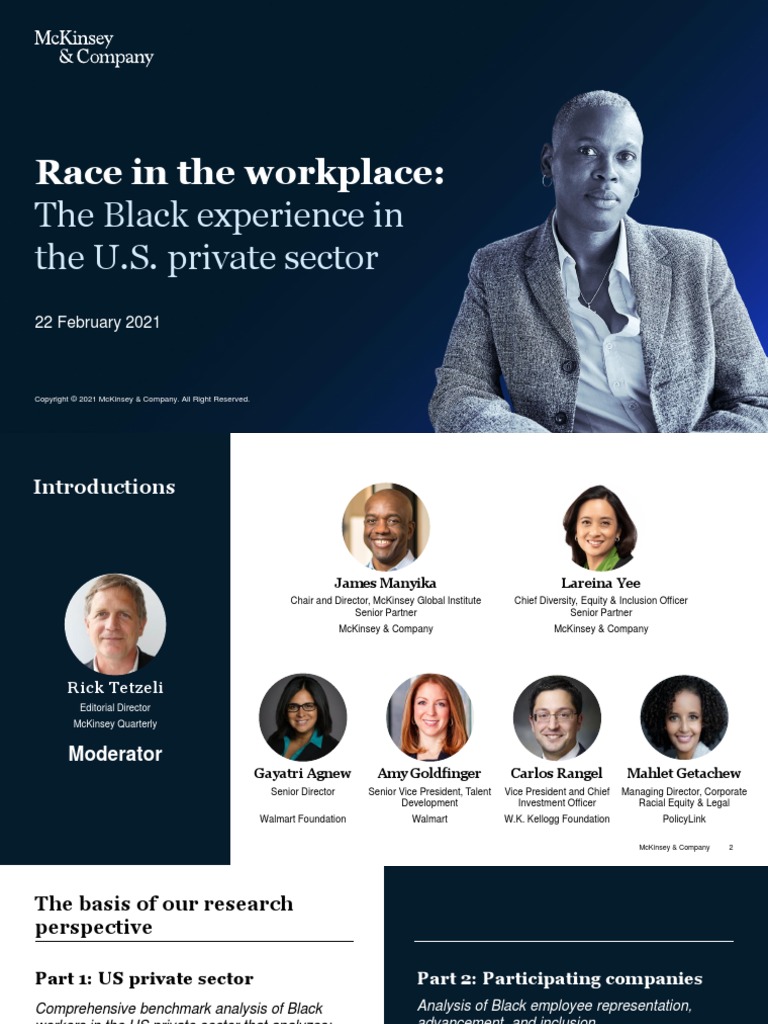 Race in The Workplace:: The Black Experience in The U.S. Private Sector | PDF | Employment ...