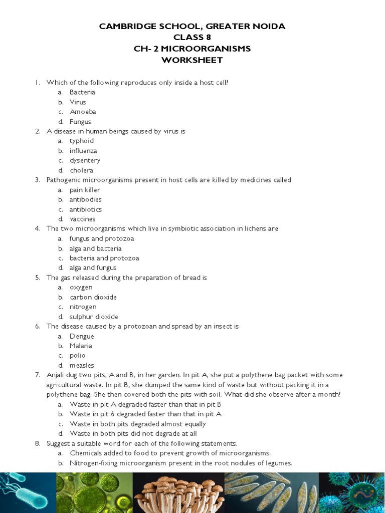 Understanding Microorganisms: A Class 8 Worksheet on Bacteria, Viruses ...