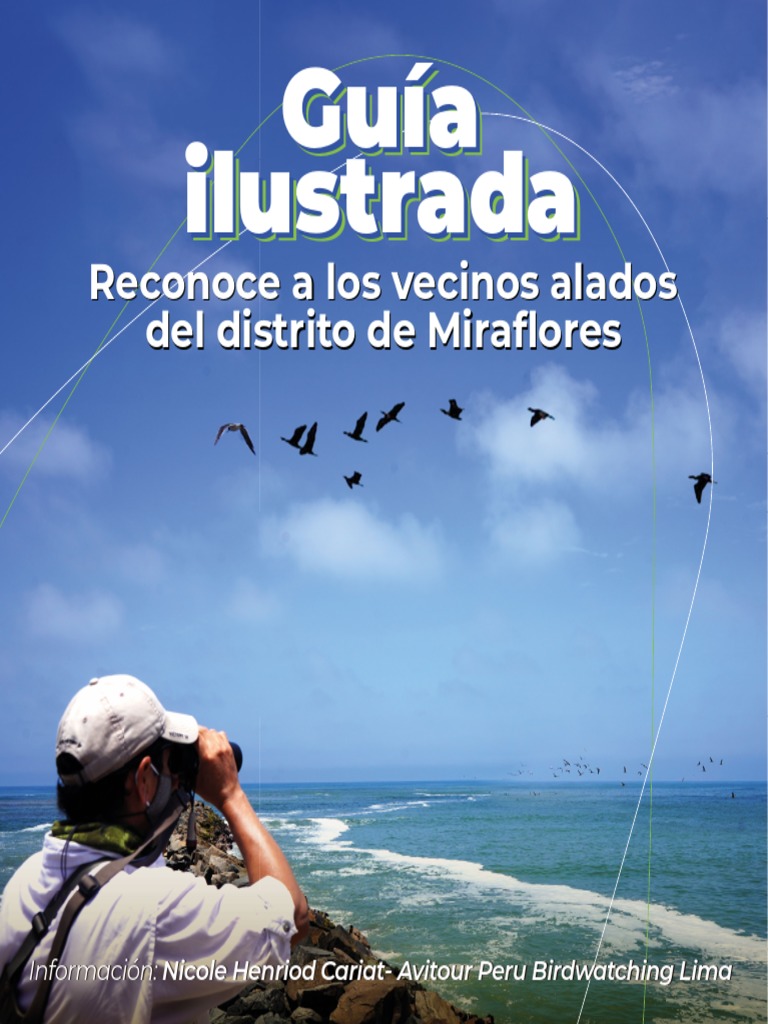 Guia De Aves Pdf Dinosaurios De América Del Norte Aves Holarctic