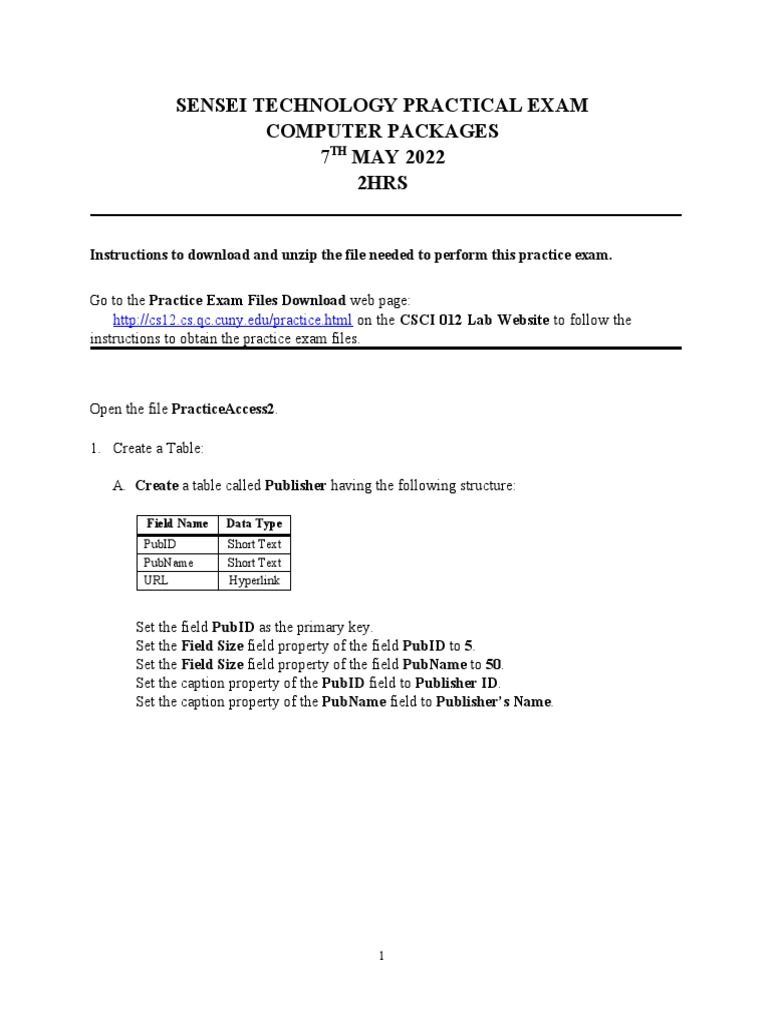 Computer Packages Exam | PDF | Computing | Computer Data