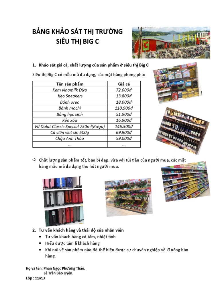 BẢNG KHẢO SÁT THỊ TRƯỜNG SIÊU THỊ BIG C | PDF