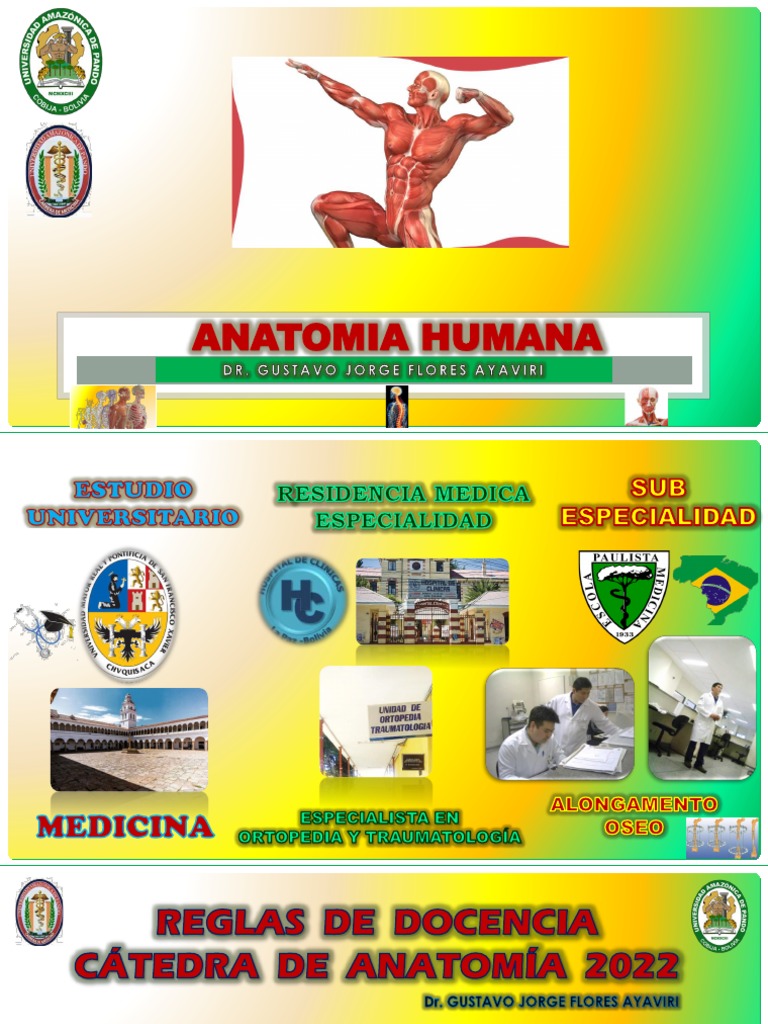 1 Presentacion Anatomia Humana | PDF | Anatomía | Abdomen
