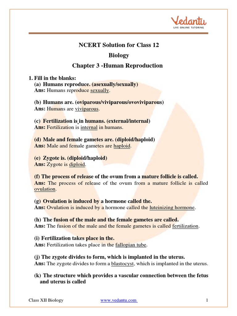 Class 12 - Biology - Human Reproduction | Download Free PDF | Menstrual ...