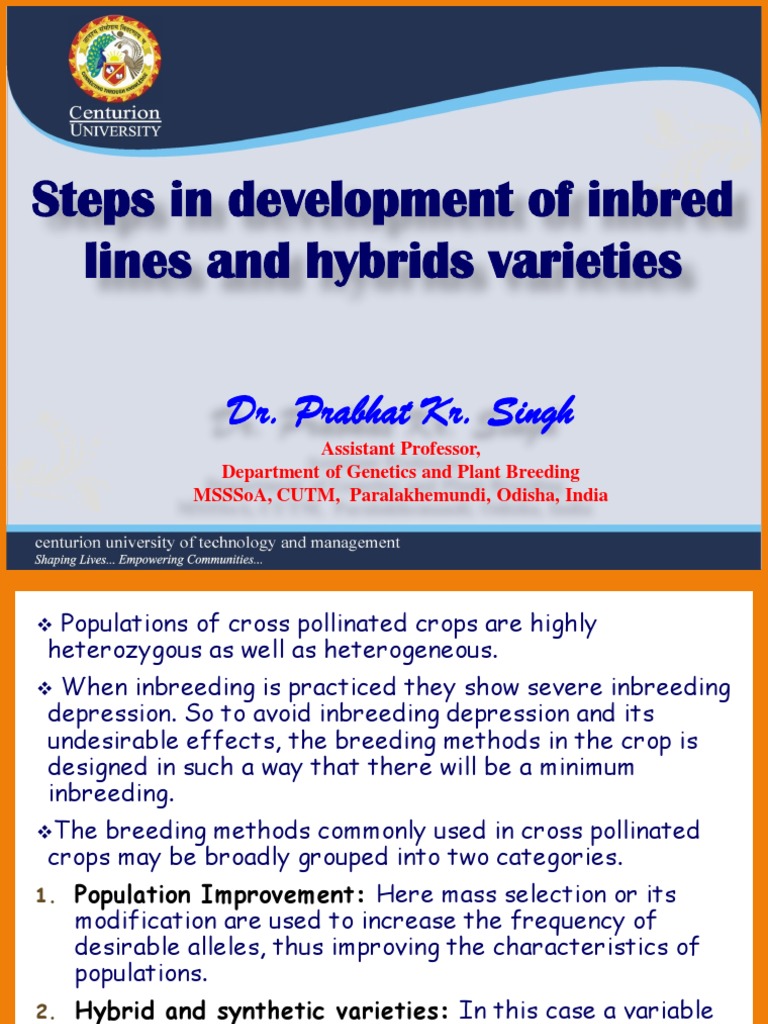 Hybrid Breeding Steps | PDF | Plant Breeding | Hybrid (Biology)